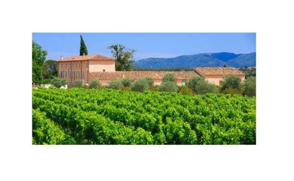 Domaine Chateau Paradis - Château Paradis - Dégustez nos Côtes de ...